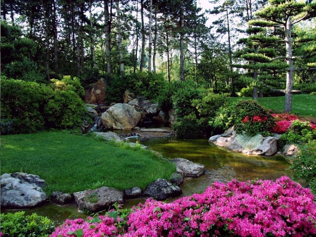 Landscape Design Tips for Beginners - Robert Thomas Homes